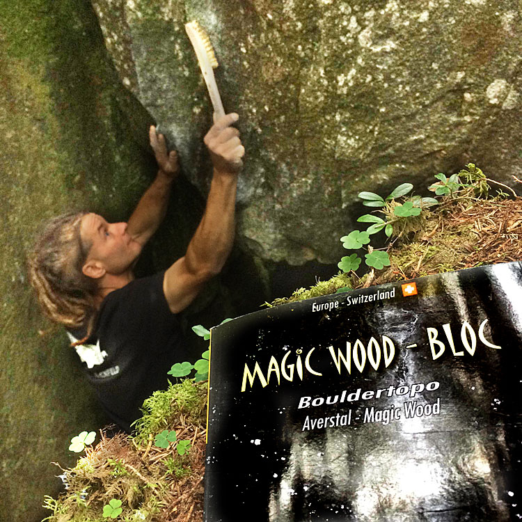 Bouldertopo Magic Wood | BLOCKFELD Boulderpark